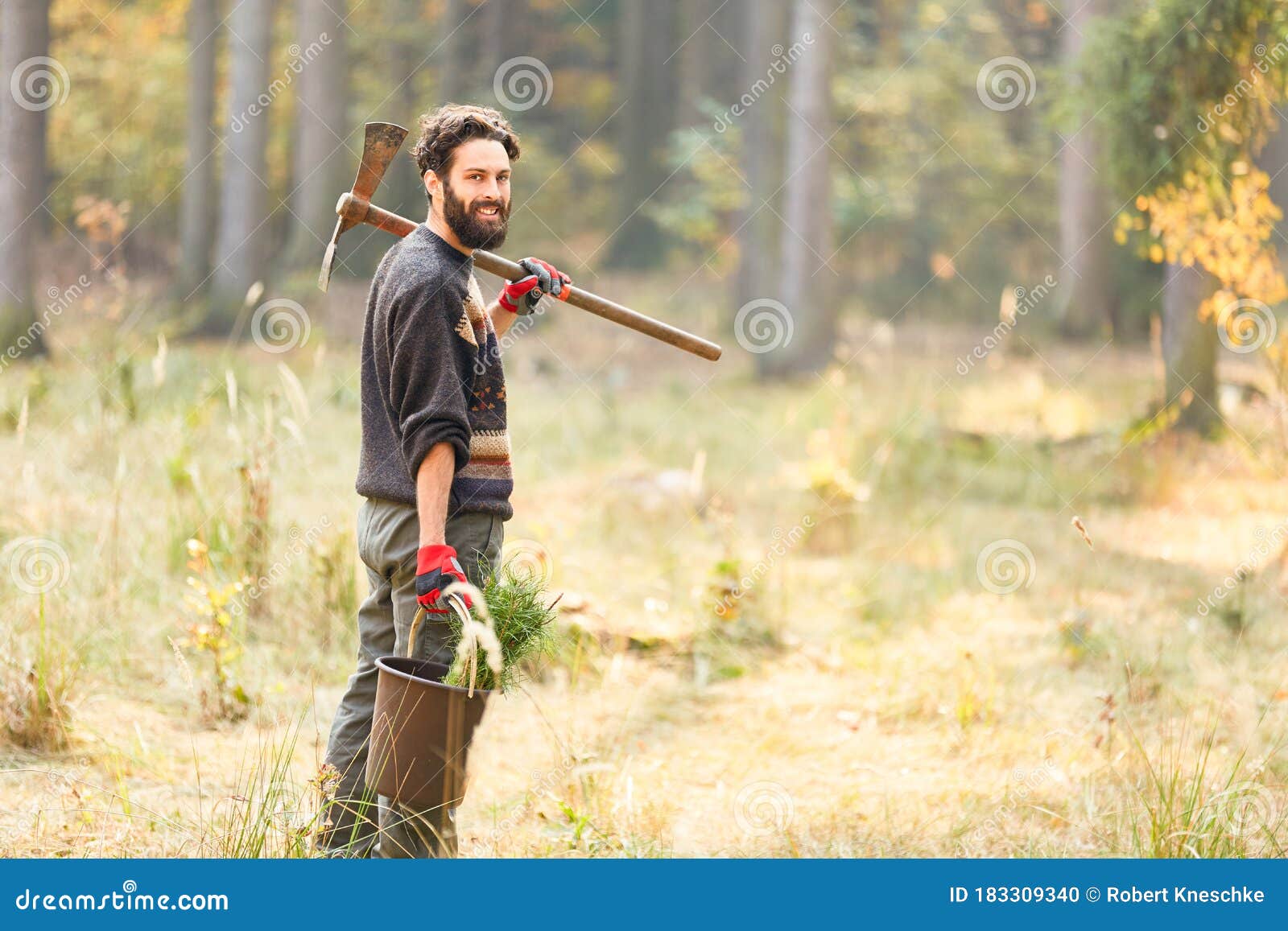 Young Forest Worker or Forester with Pine Seedling Stock Photo - Image ...