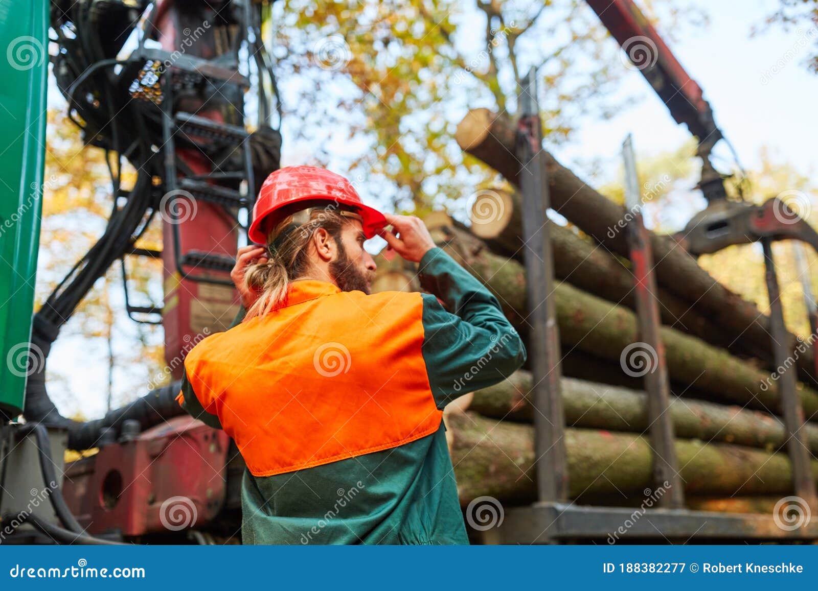 Worker Loading Long Logs at the Forwarder Stock Image - Image of lumber ...