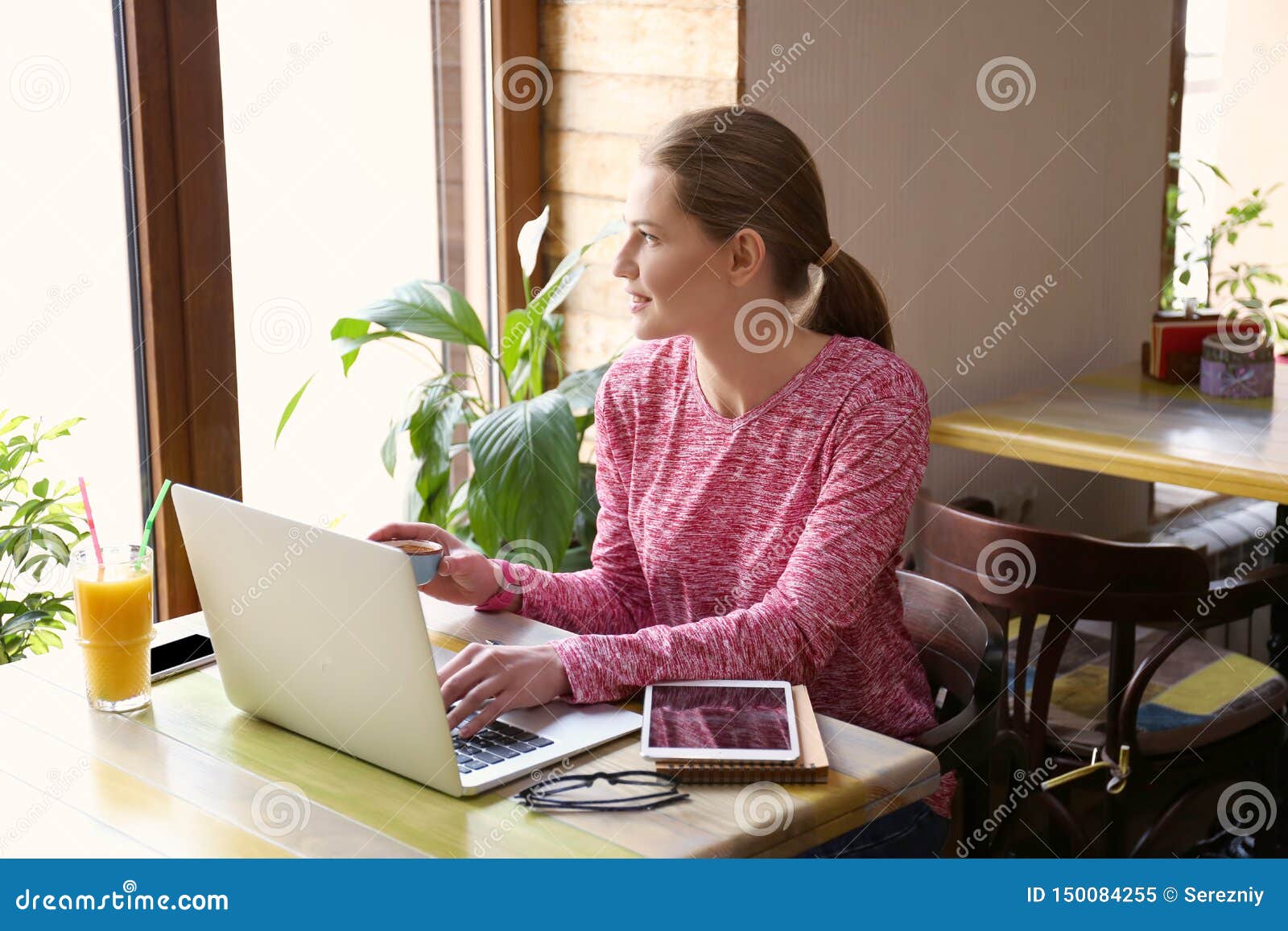 Young Freelancer with Laptop Working in Cafe Stock Image - Image of ...