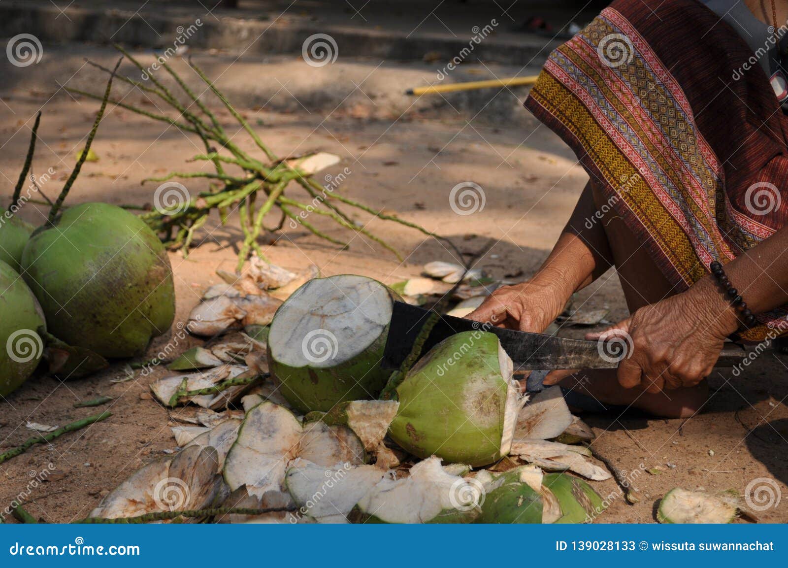 Young and fresh coconut stock image. Image of forest - 139028133