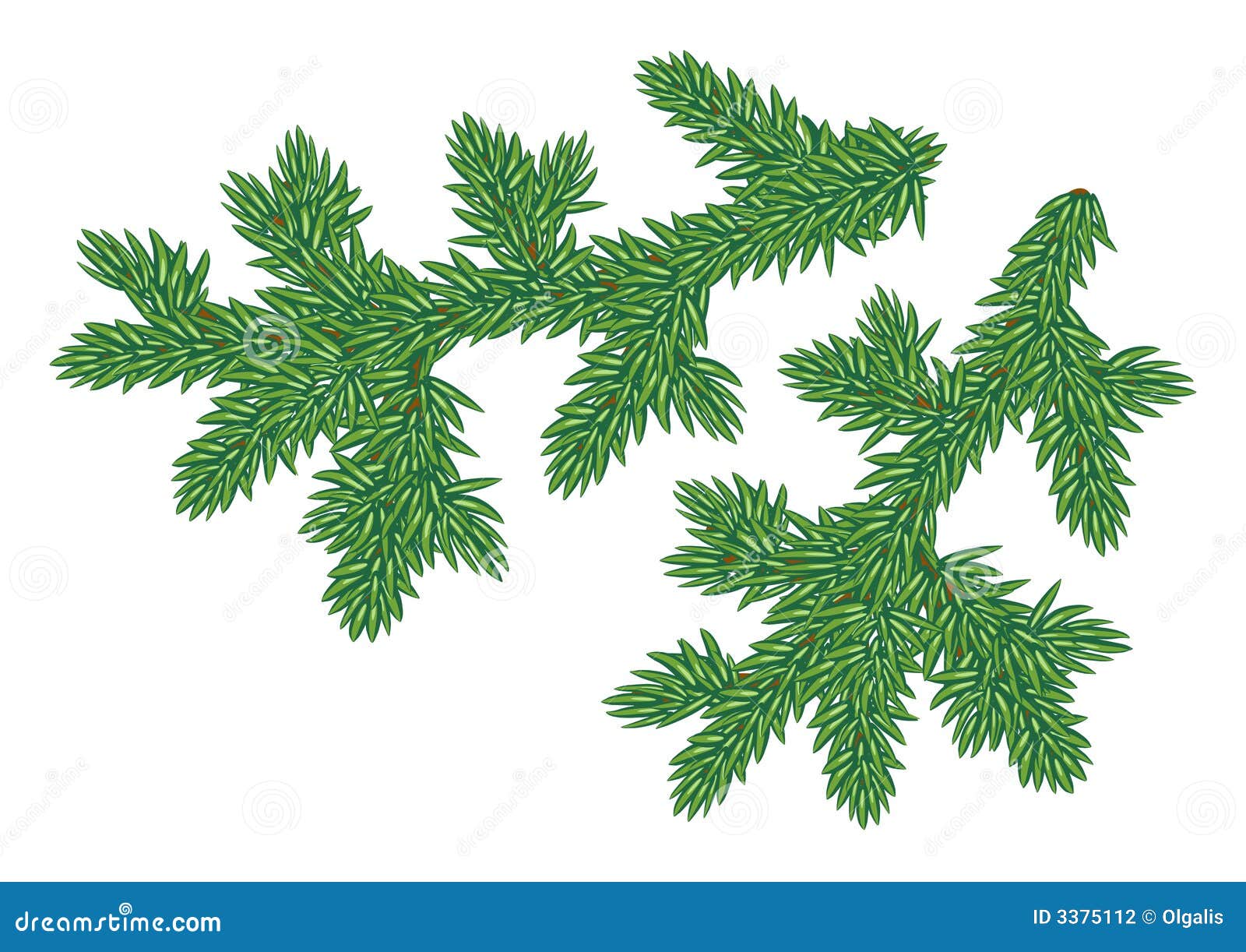 Young fur-tree branches stock vector. Illustration of backgrounds - 3375112