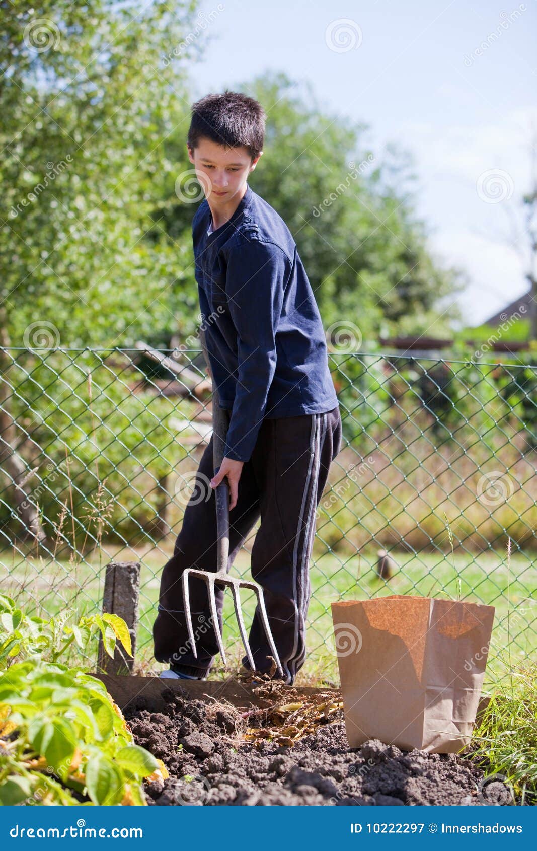 Young Gardener stock image. Image of teenager, years - 10222297