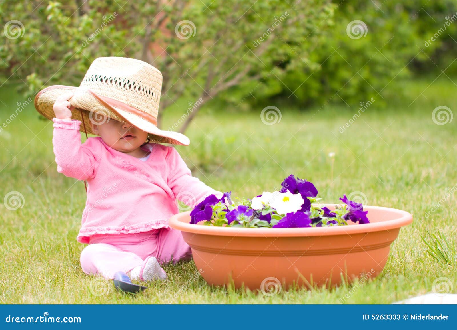 Young gardener stock image. Image of blooming, summer - 5263333