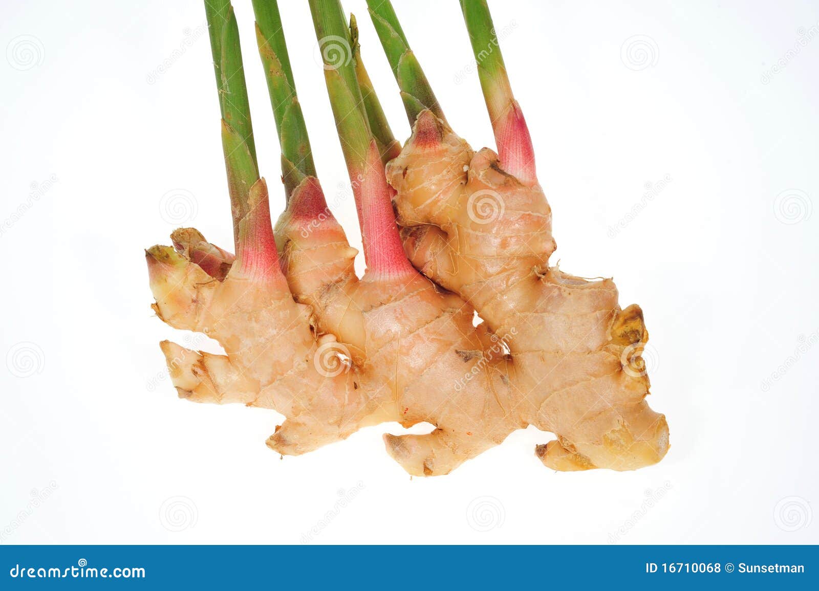 Young Ginger Woman In Yellow Shirt Dress. Female Bright Trench At ...