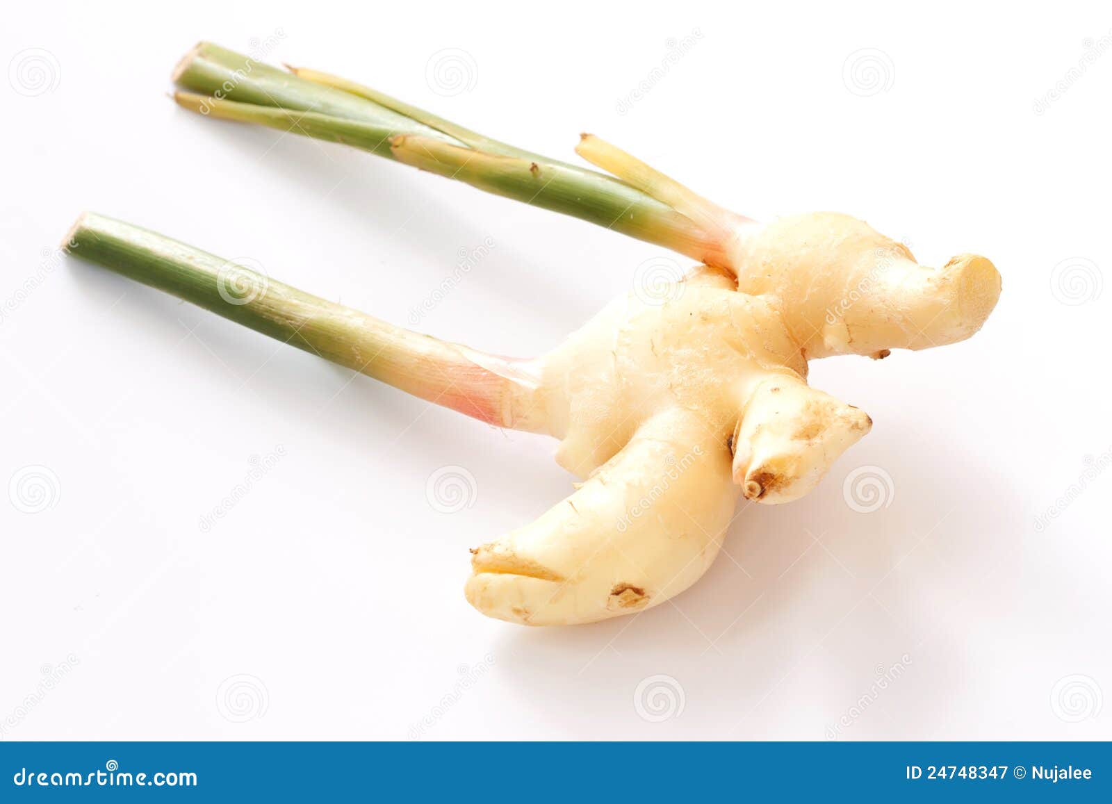 Young ginger stock image. Image of rough, healthy, asian - 24748347