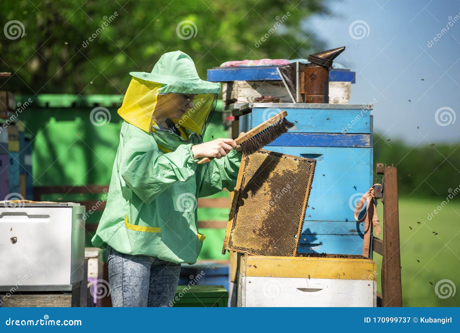 A Young Girl Beekeeper in Apiary Stock Image - Image of hive, honey ...