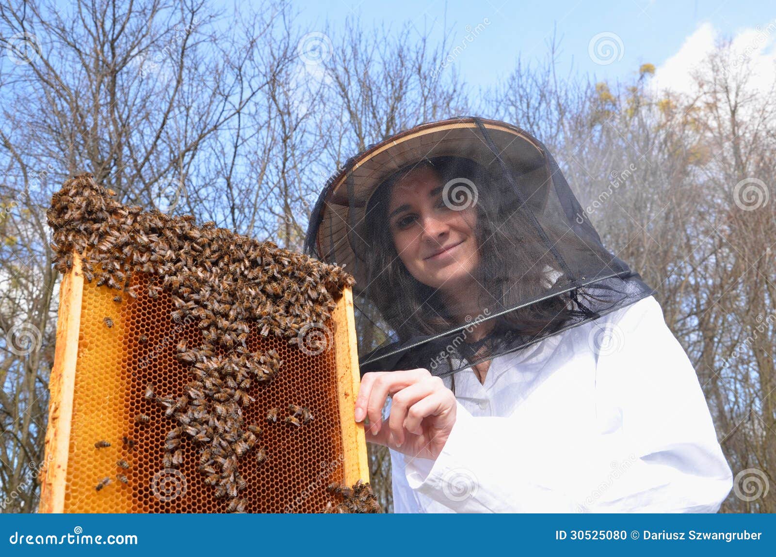A Young Girl Beekeeper in Apiary Stock Photo - Image of brunette ...
