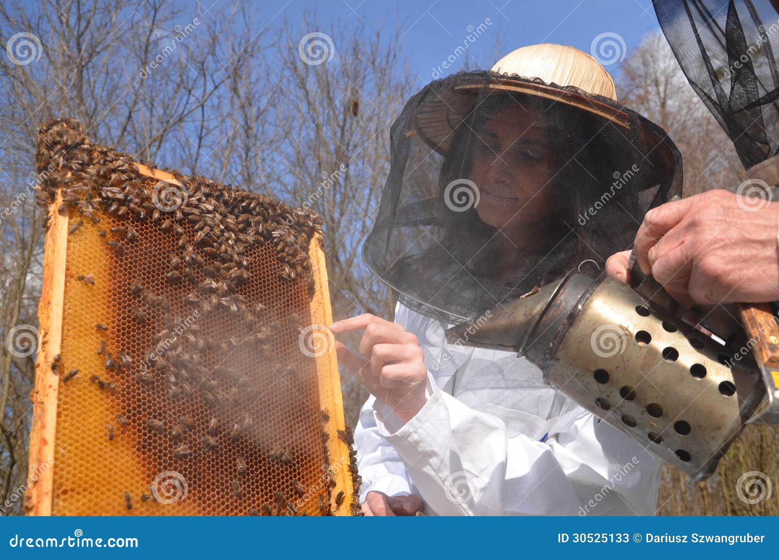 A Young Girl Beekeeper in Apiary Stock Image - Image of beekeeper ...