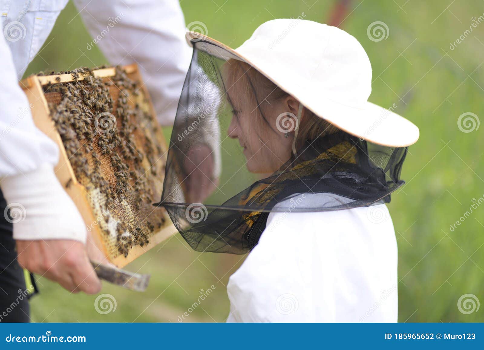 Young Girl Beekeeper with Honey Stock Photo - Image of hive, animal ...