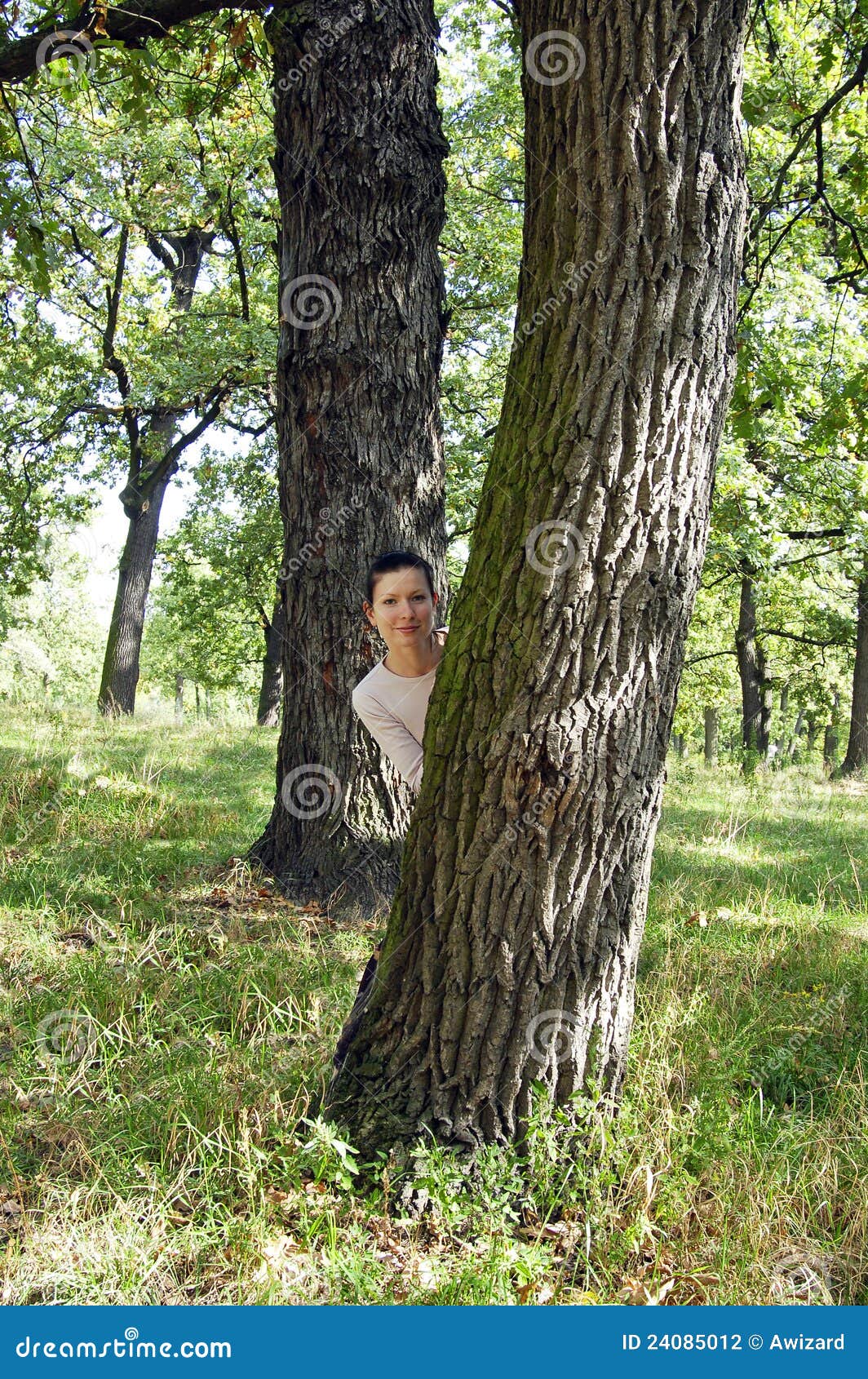 Young Girl Behind the Tree on Warm Summer Day Stock Photo - Image of ...