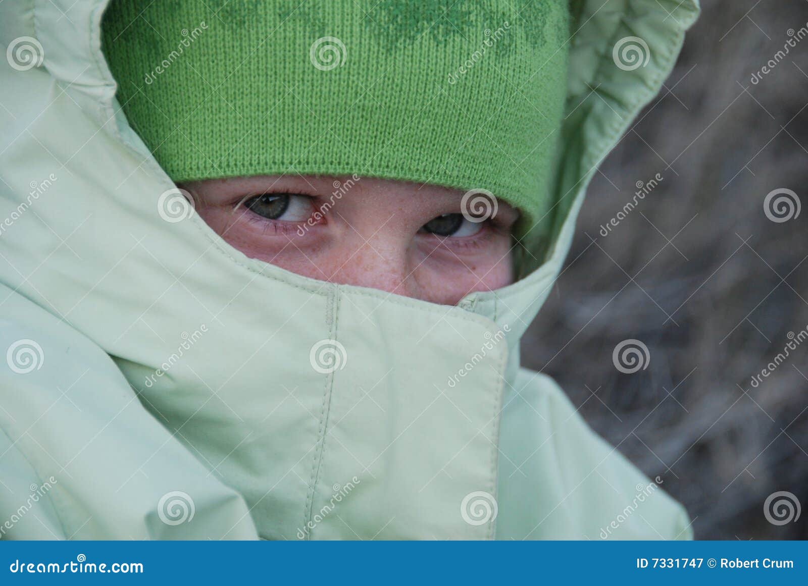 Young Girl Bundled Against the Cold Stock Image - Image of snow, frigid ...