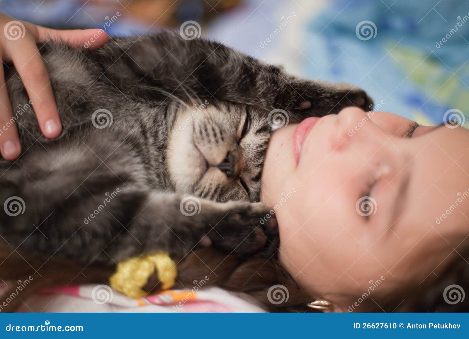 Young Girl and Cat Taking a Nap Stock Photo - Image of kitten, sleeping ...