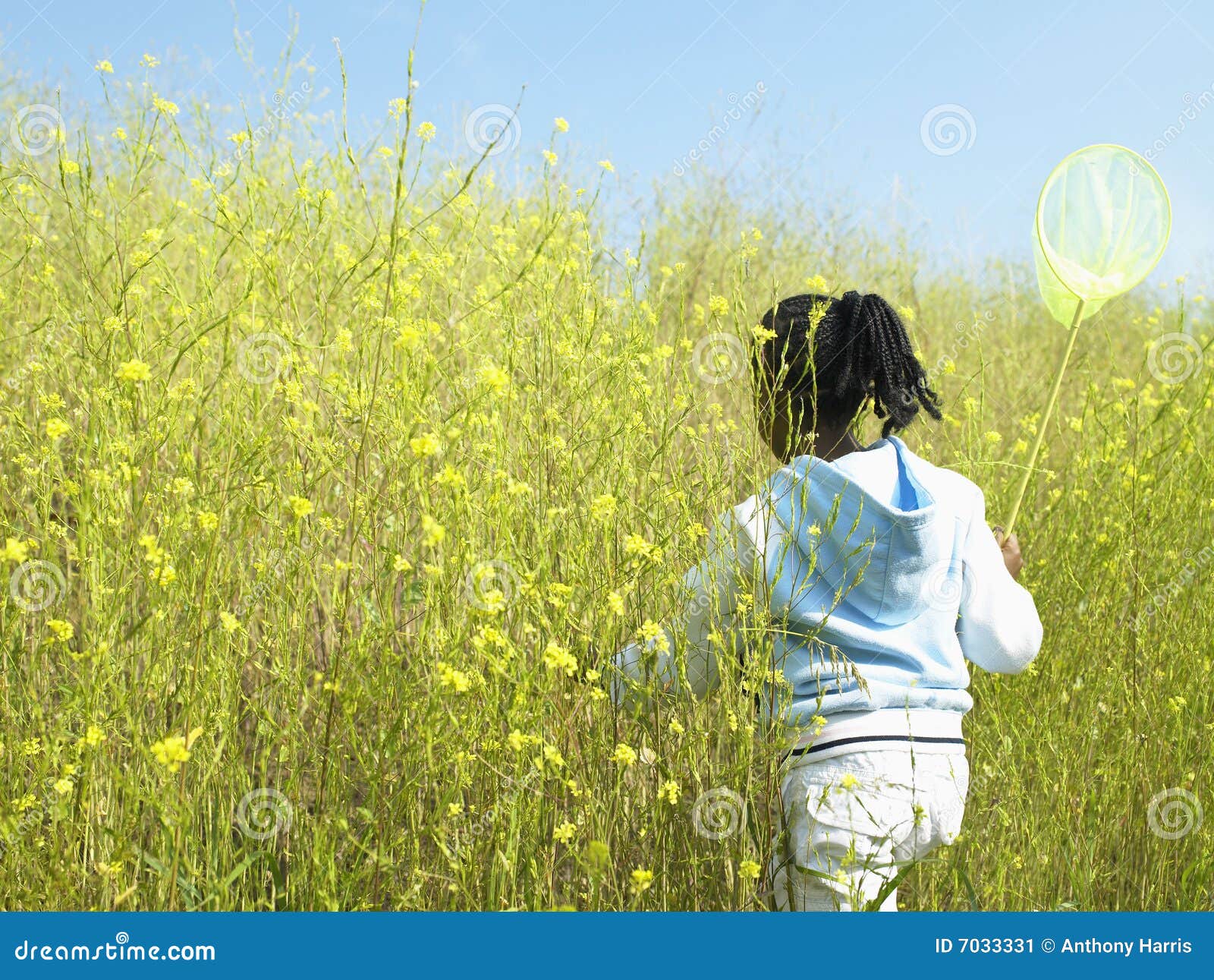 Young Girl Chasing Butterflies Stock Image - Image of natural, blooming ...