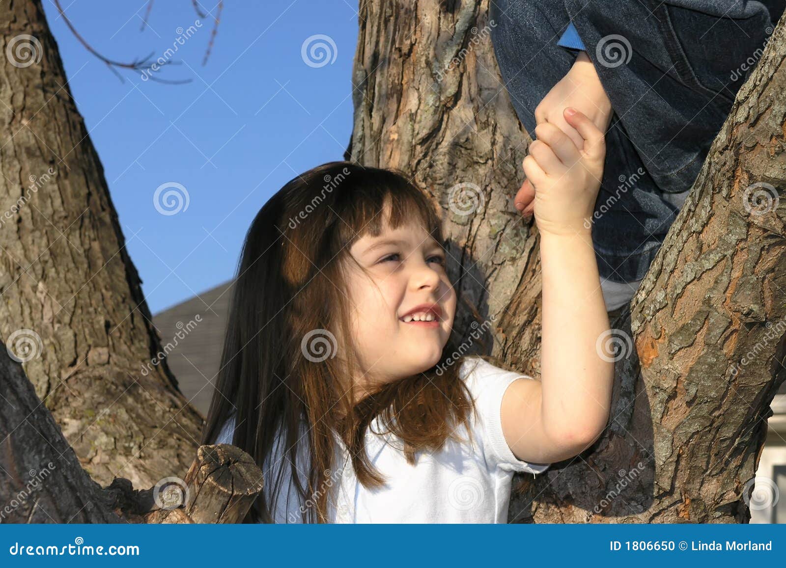 Young girl climbing tree stock photo. Image of helpful - 1806650