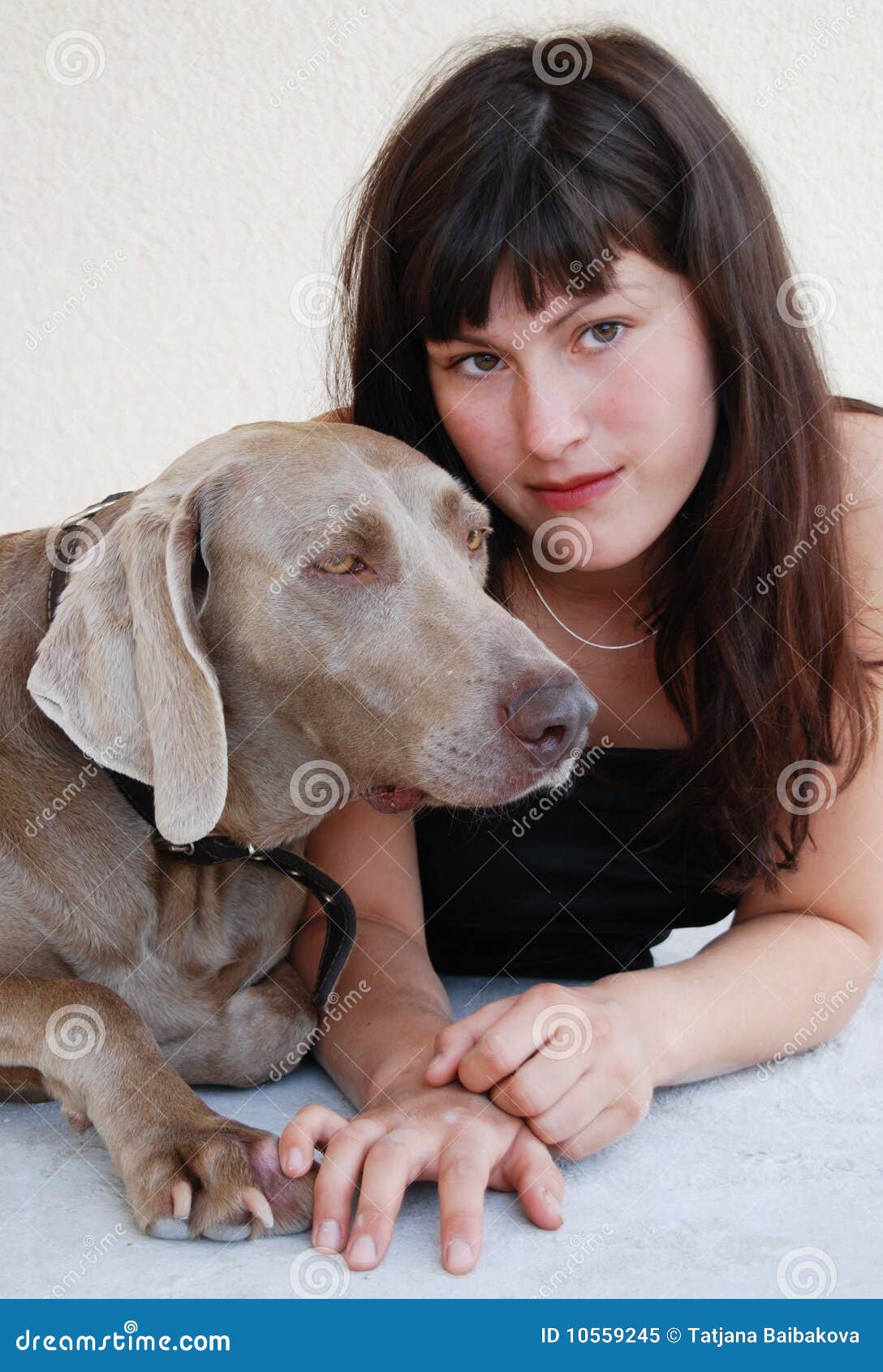 Young girl and dog stock image. Image of happiness, canine - 10559245