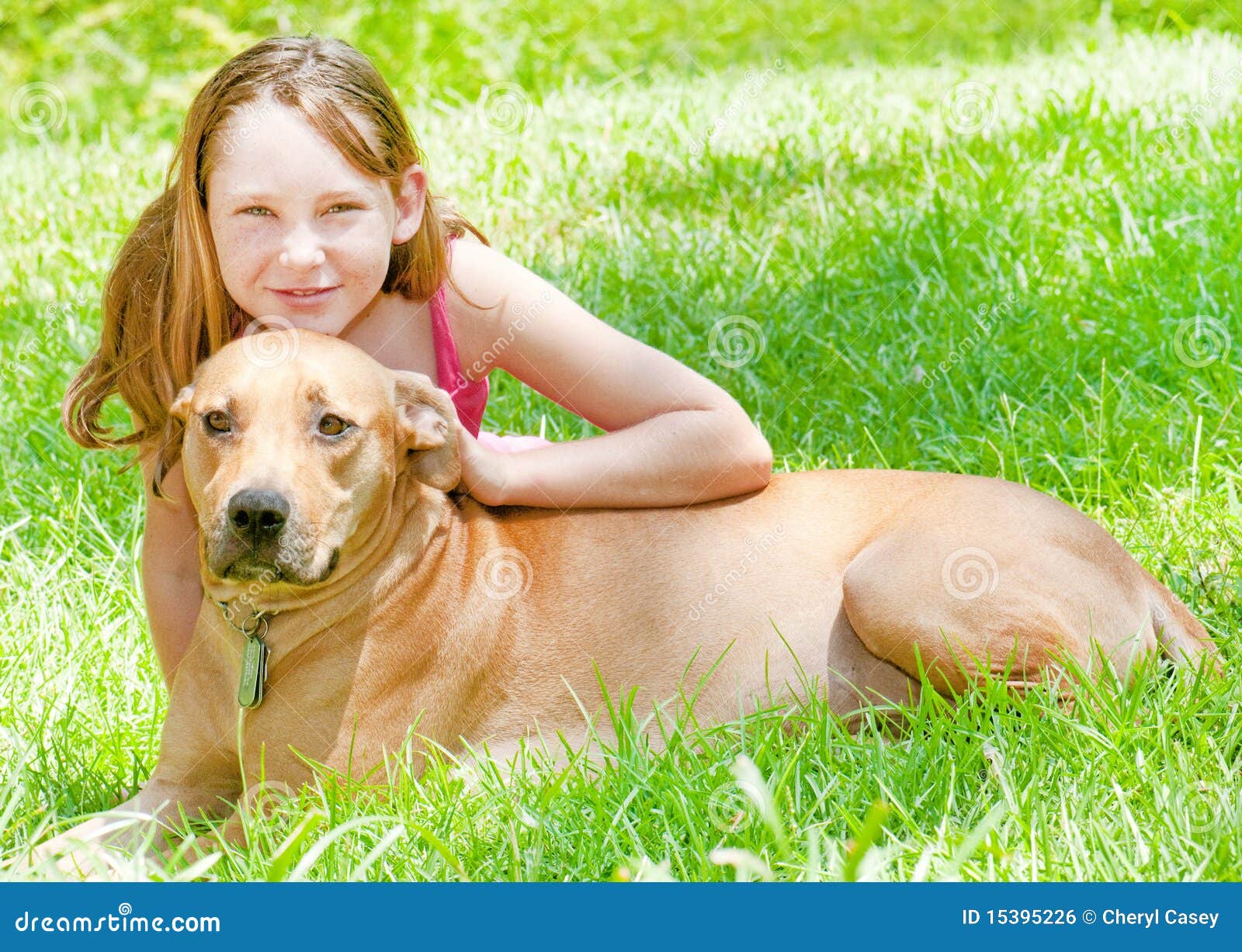 Young girl with dog stock photo. Image of affectionate - 15395226