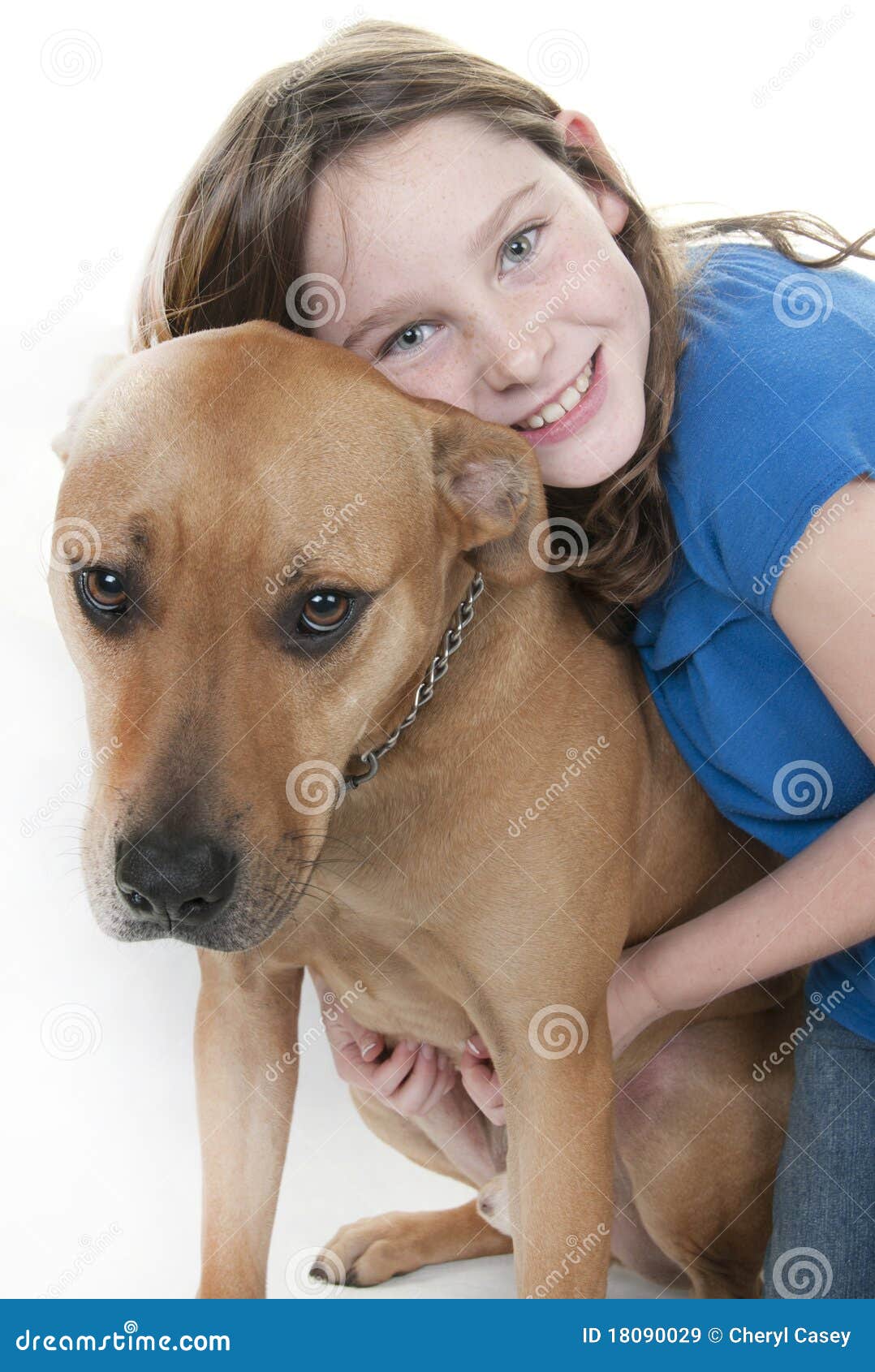 Young girl and dog stock image. Image of kind, lying - 18090029