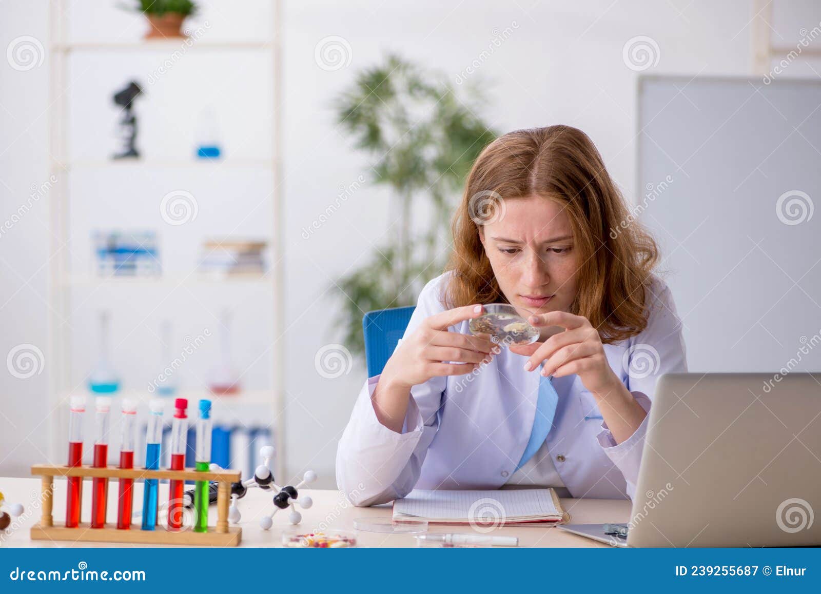 Young Female Entomologist Working at the Lab Stock Image - Image of ...
