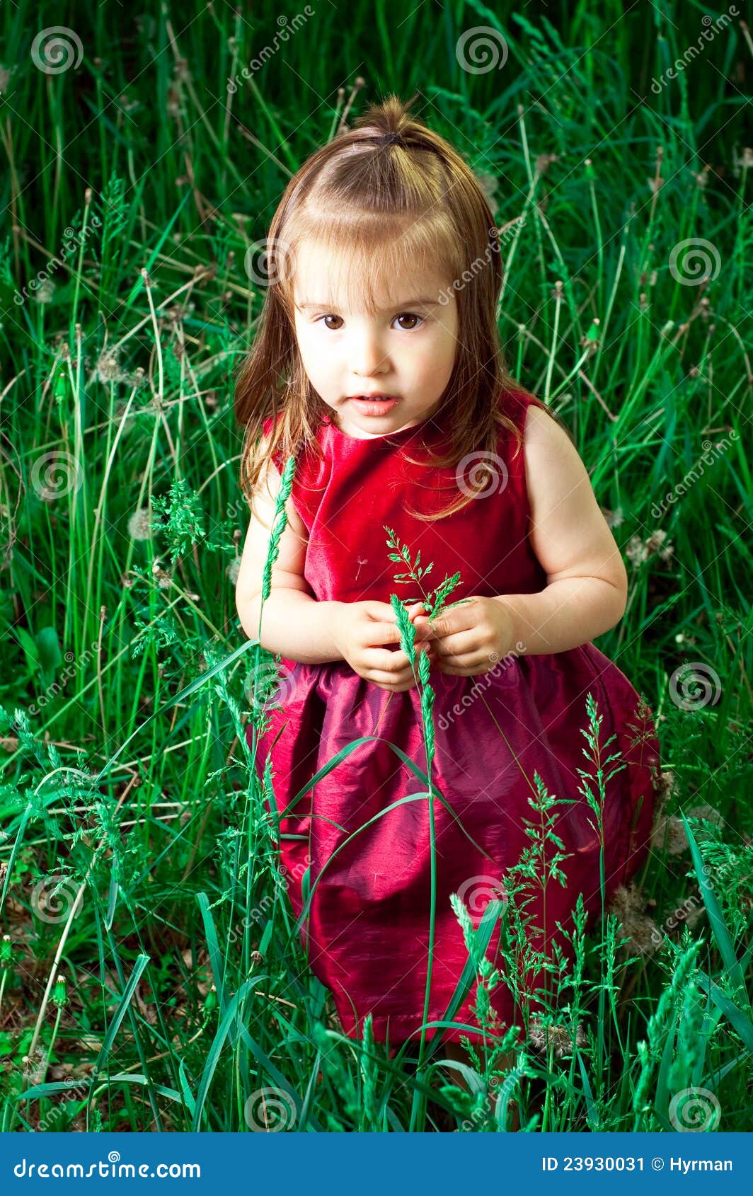 Young girl on the grass stock image. Image of lying, person - 23930031