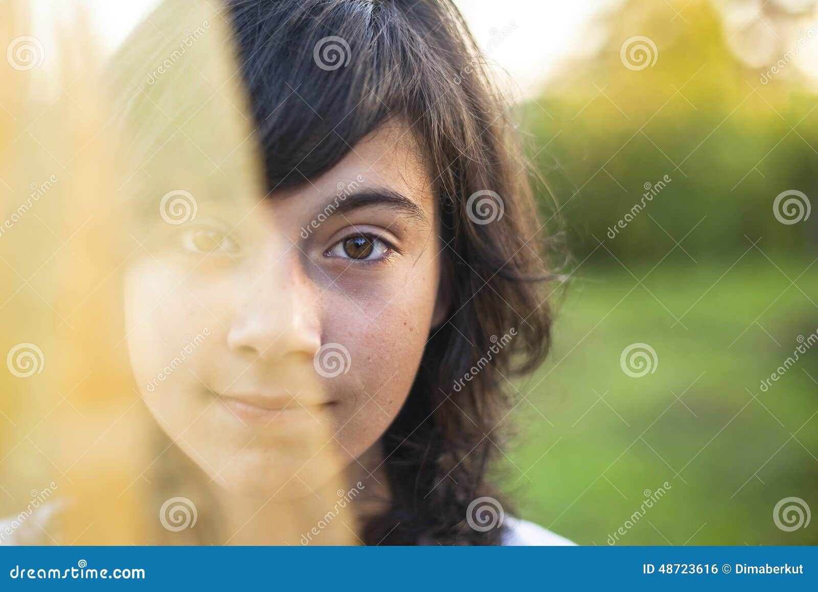 Young Girl, Half of the Face is Covered by Translucent Veil. Stock ...