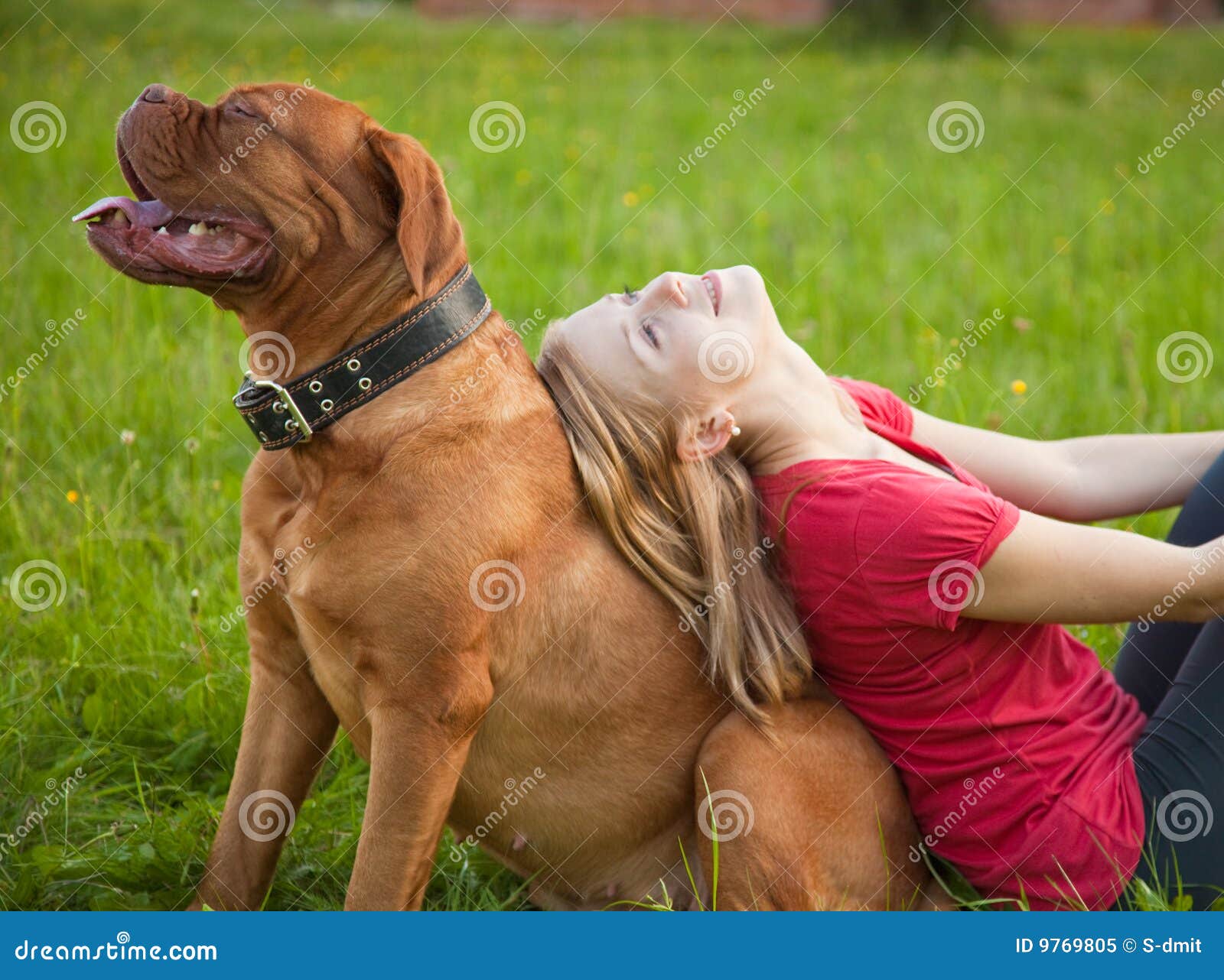 Young girl and her dog stock image. Image of happiness - 9769805