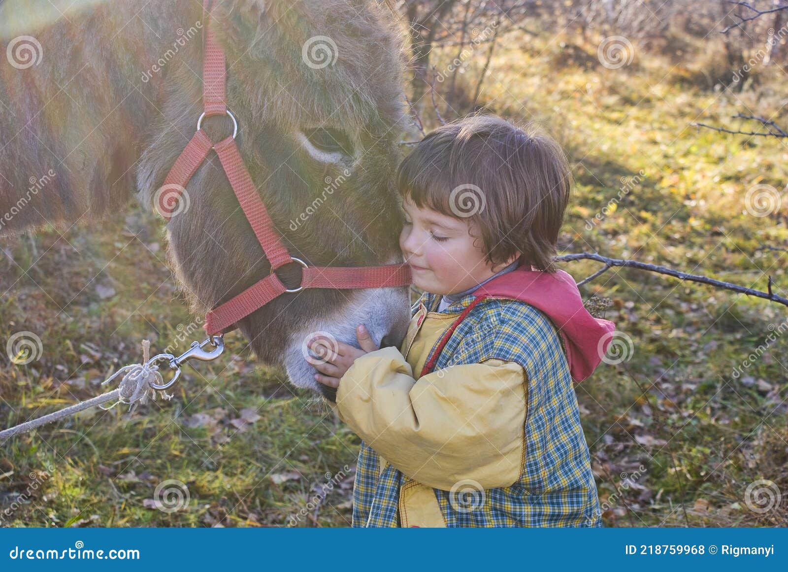 Young Girl Hugging a Donkey Stock Photo - Image of girl, caucasian ...