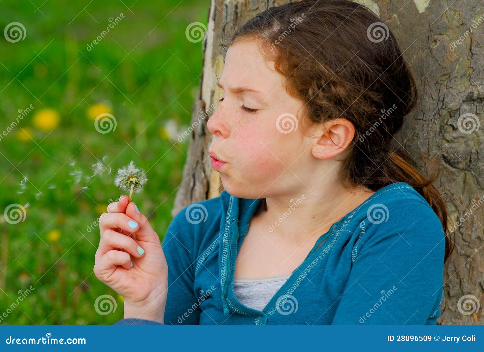 Young Girl making a wish. stock image. Image of horizontal - 28096509