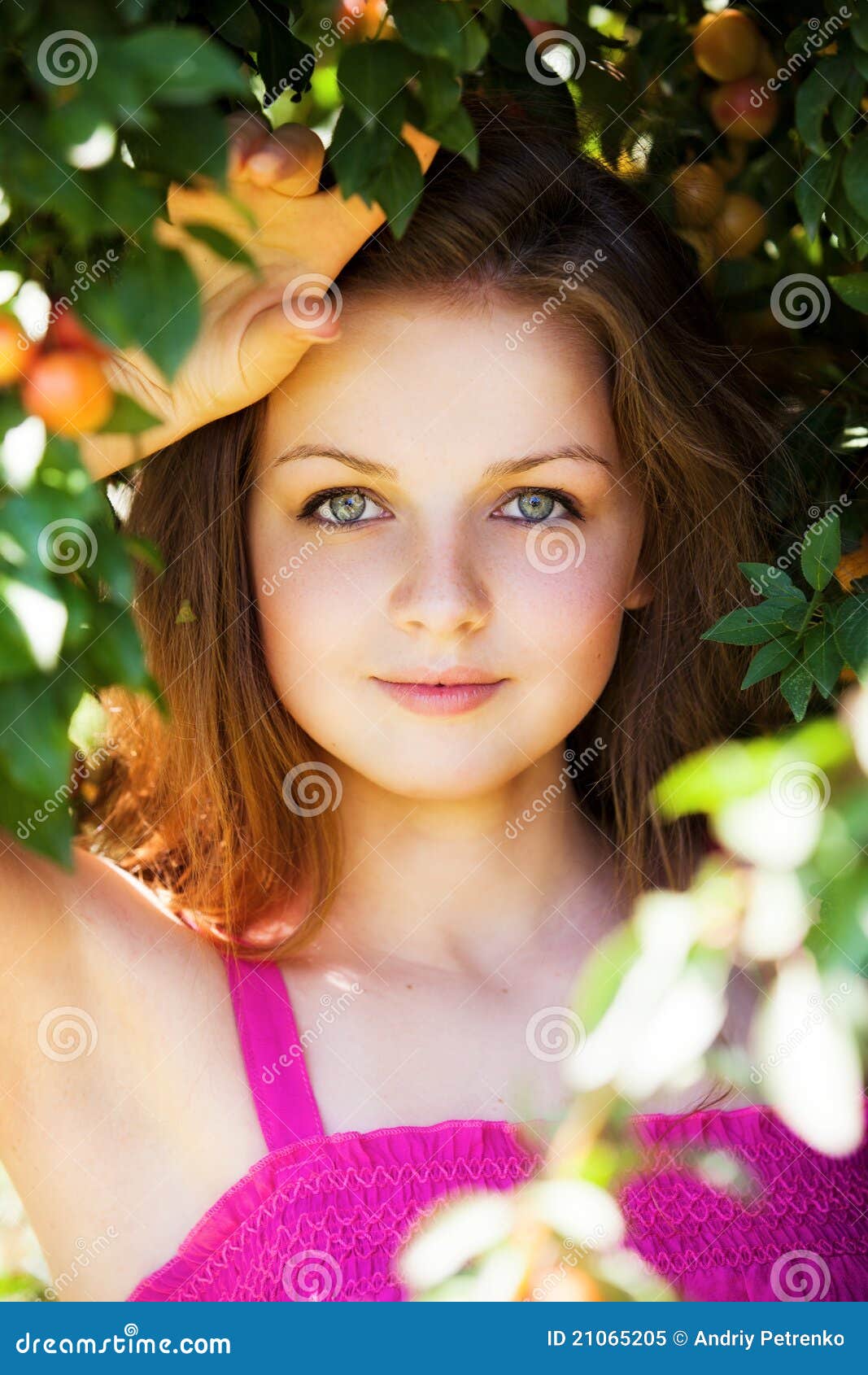 Young Girl Picking Fruit from the Plum Tree Stock Image - Image of ...