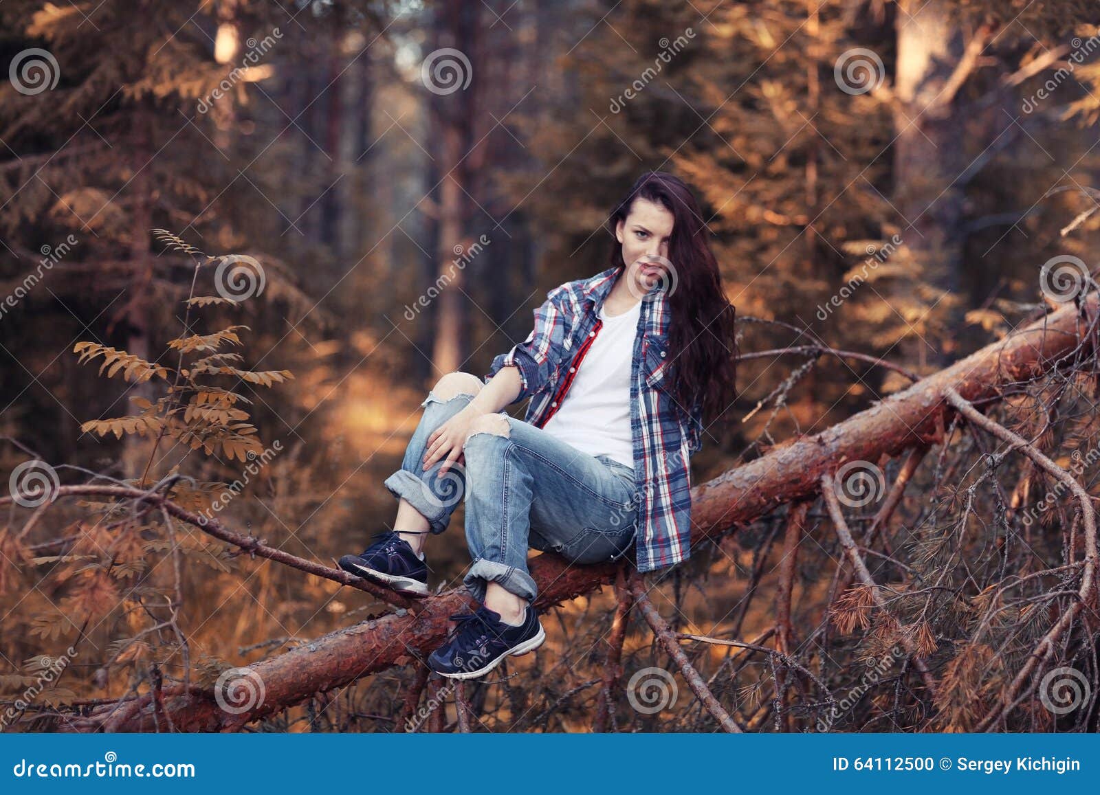 Young girl in pine forest stock photo. Image of girl - 64112500