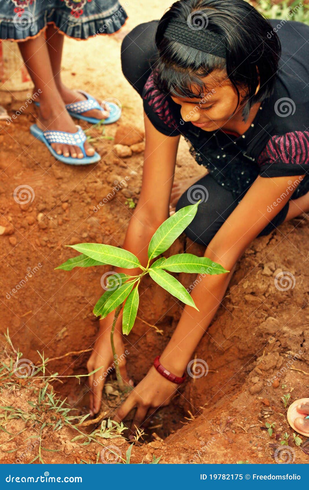 Planting Tree Stock Photo | CartoonDealer.com #85452168