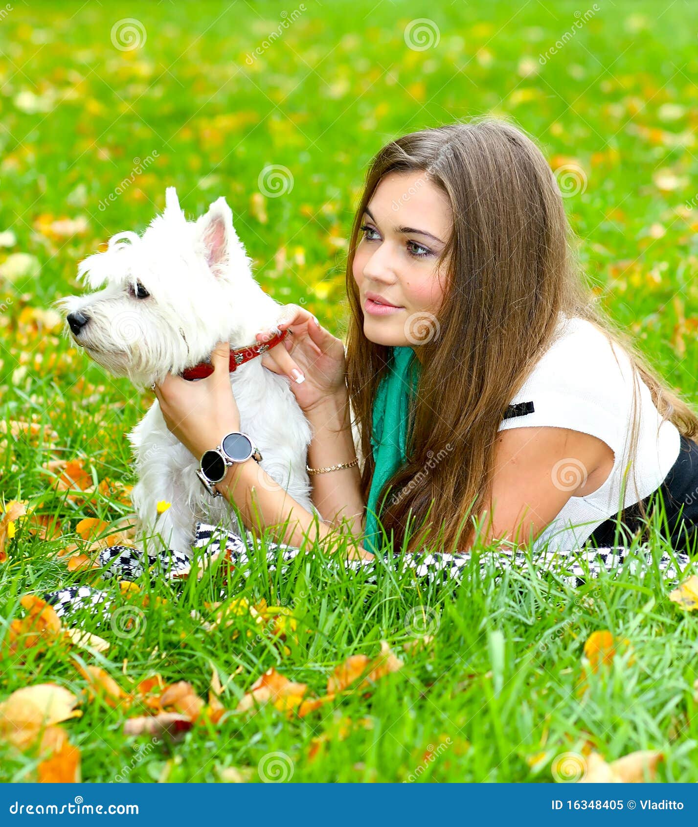 Young Girl Playing with Her Dog Stock Image - Image of grass, field ...