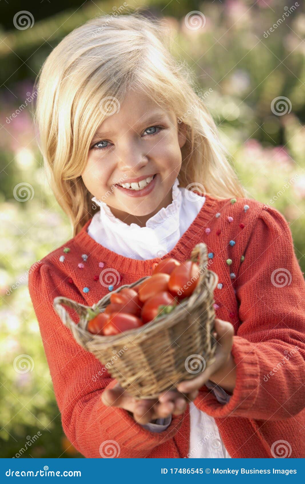 Young Girl Posing with Tomatoes in Garden Stock Image - Image of young ...