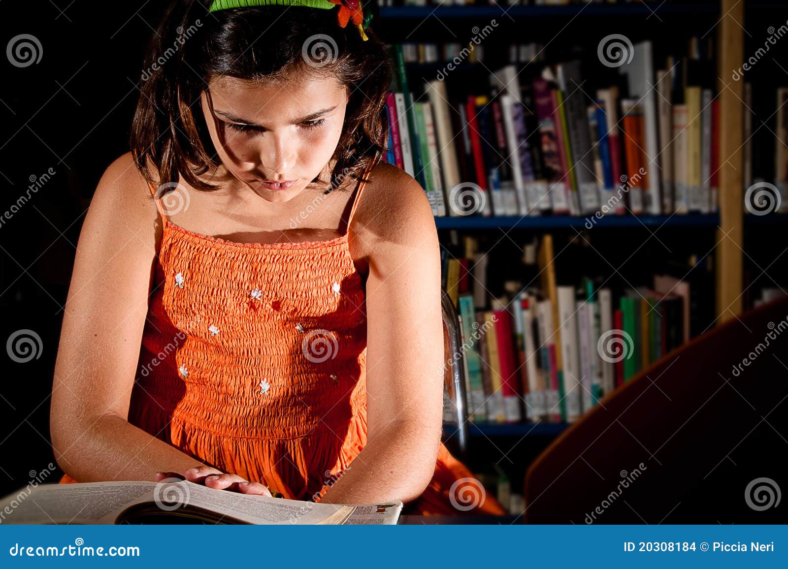 Young Girl Reading in a Library Stock Photo - Image of girl, literature ...