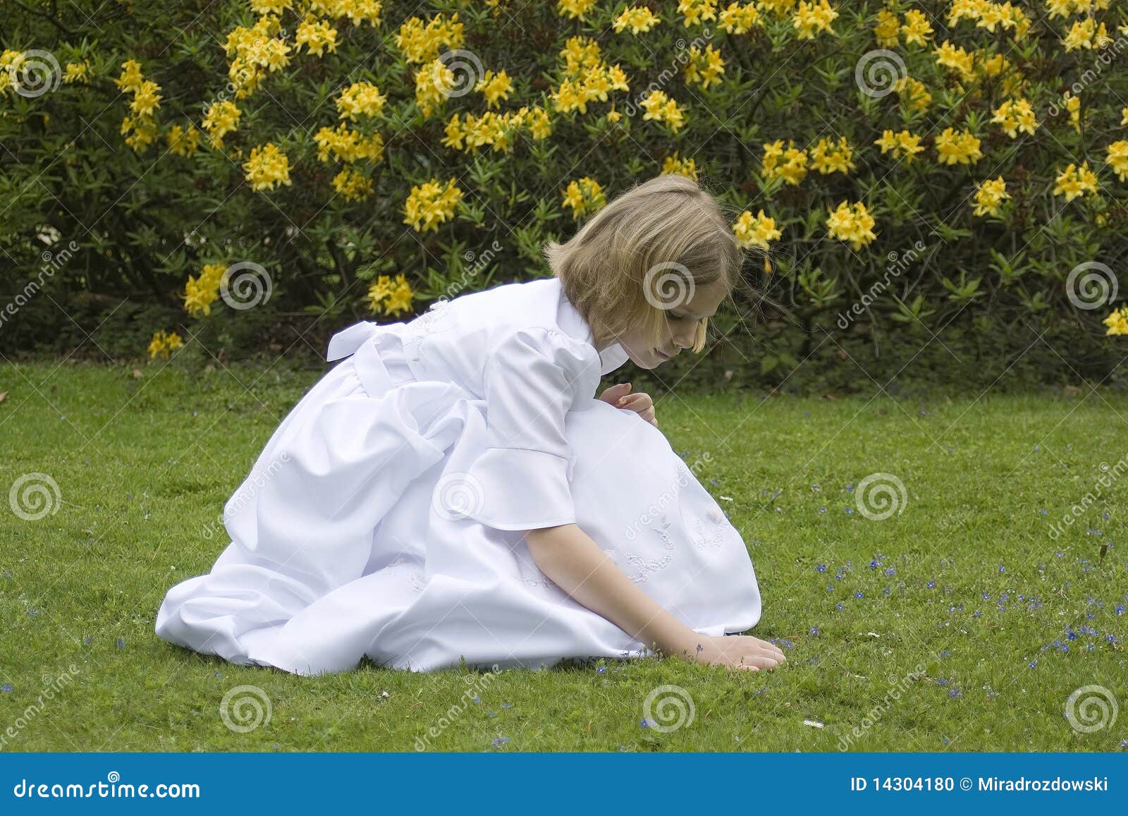 Young Girl Ready for First Holy Communion Stock Photo - Image of ...