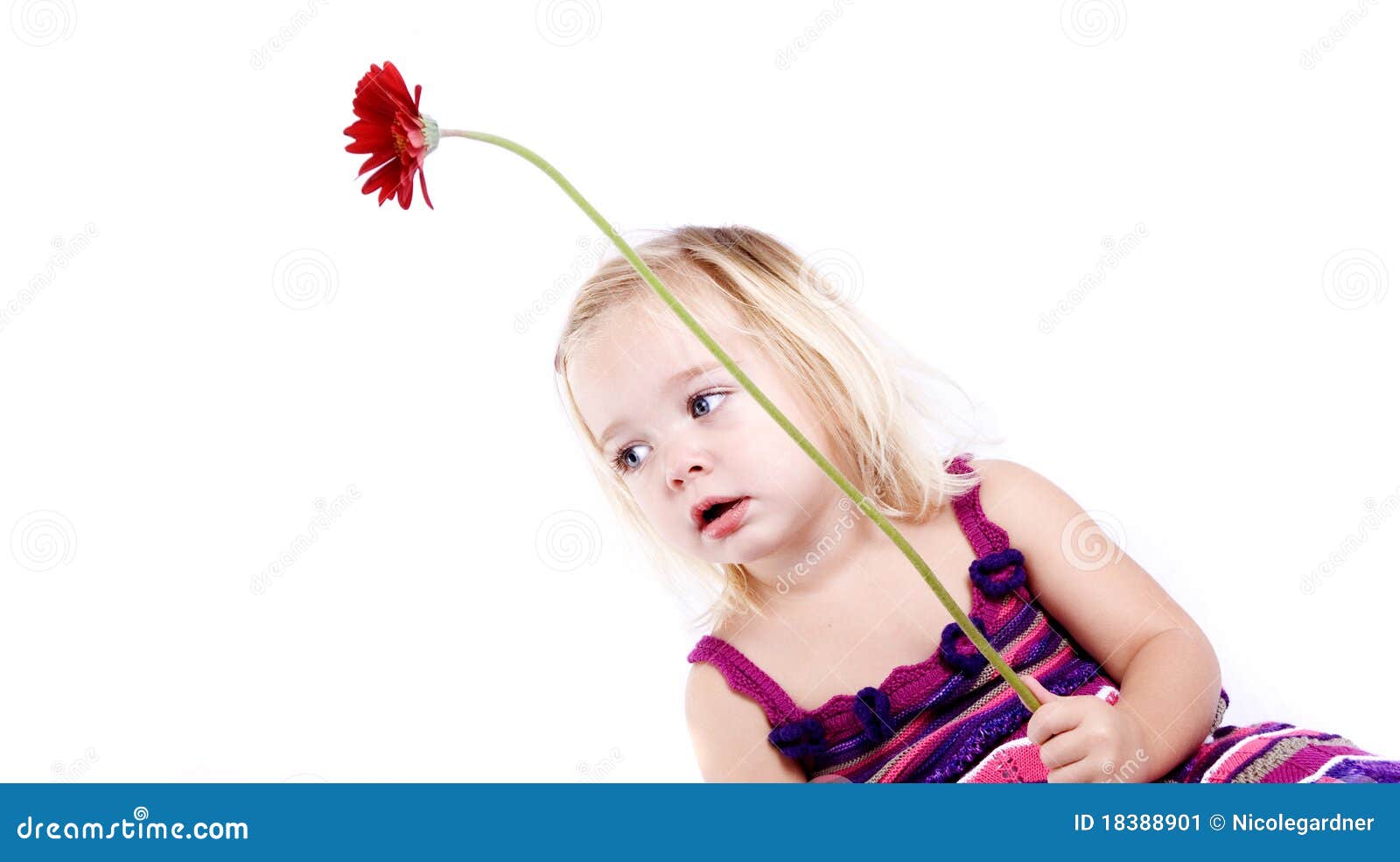 Young Girl with a Red Flower Stock Image - Image of happiness ...