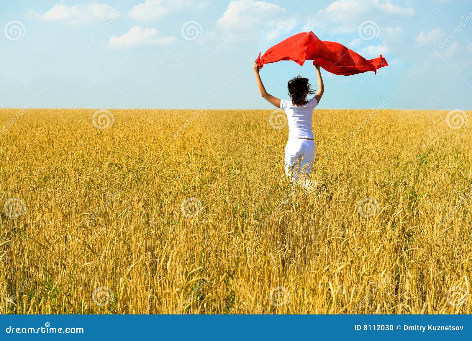 Young Girl Running on the Field Stock Photo - Image of life, gold: 8112030