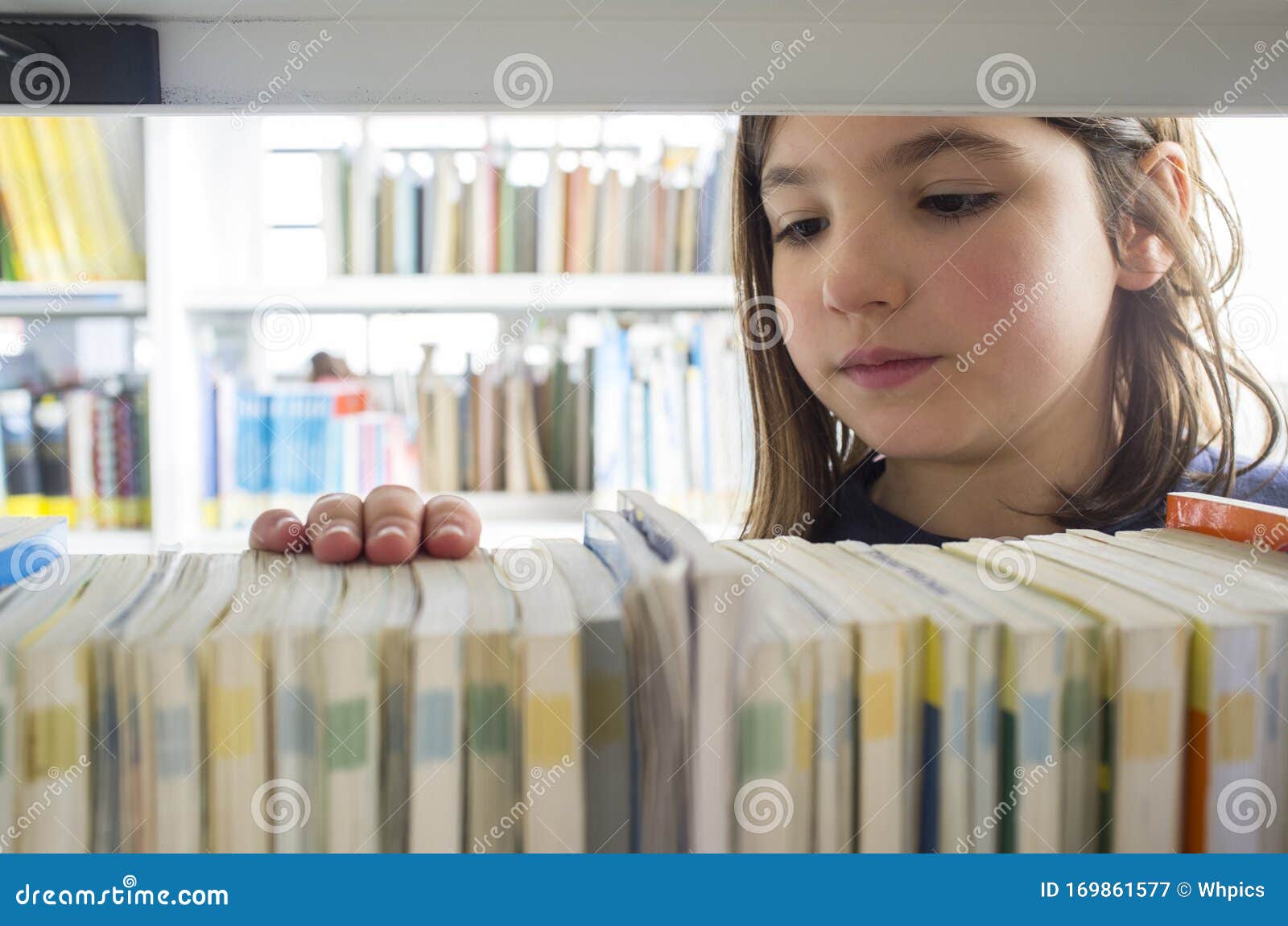 Young Girl Selecting Books from Library Bookshelf Stock Image - Image ... Young Girl Selecting Books from Library Bookshelf Stock Image - Image ...