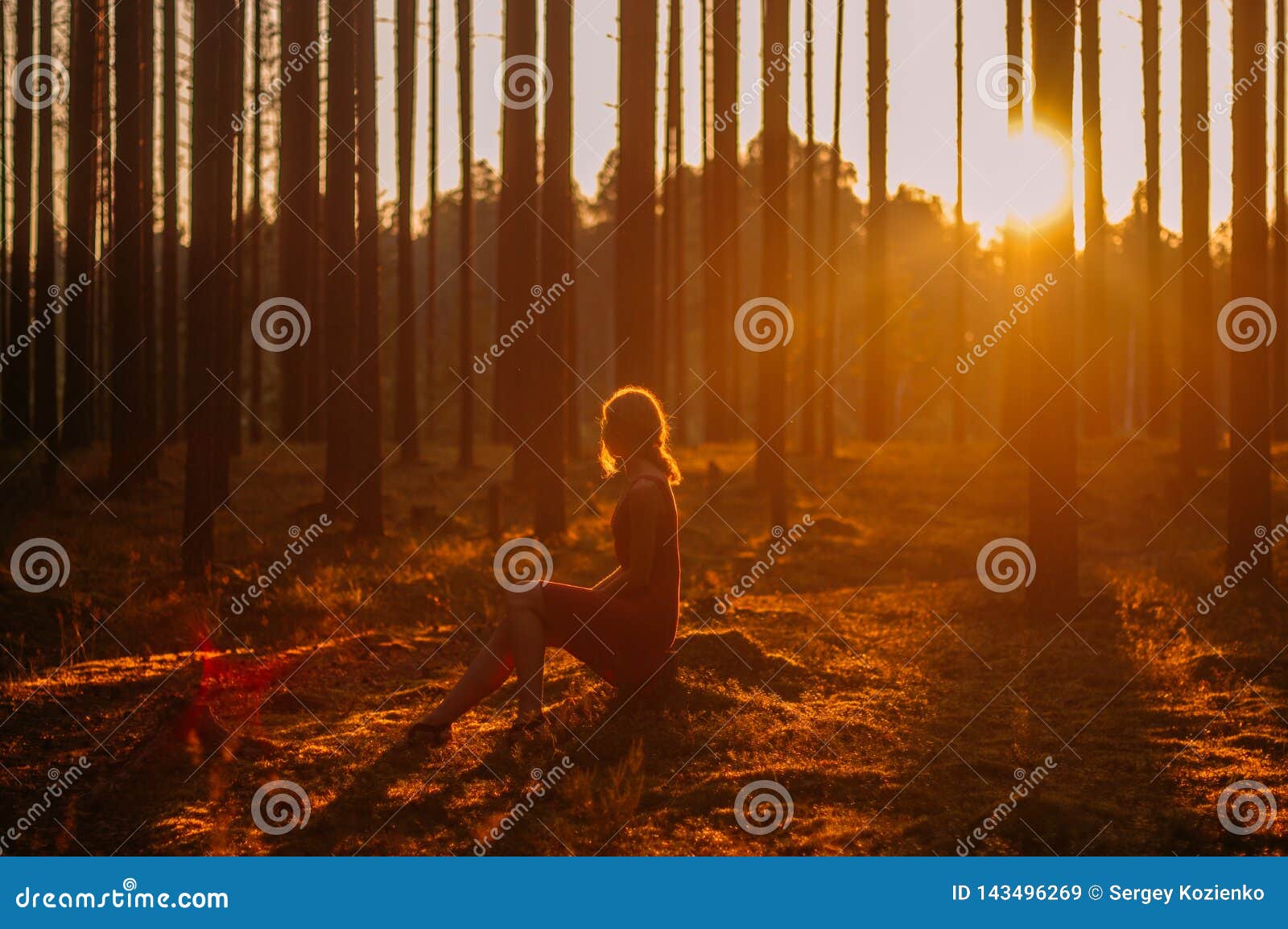 Young Girl Sitting in Evening Forest Stock Image - Image of back ...