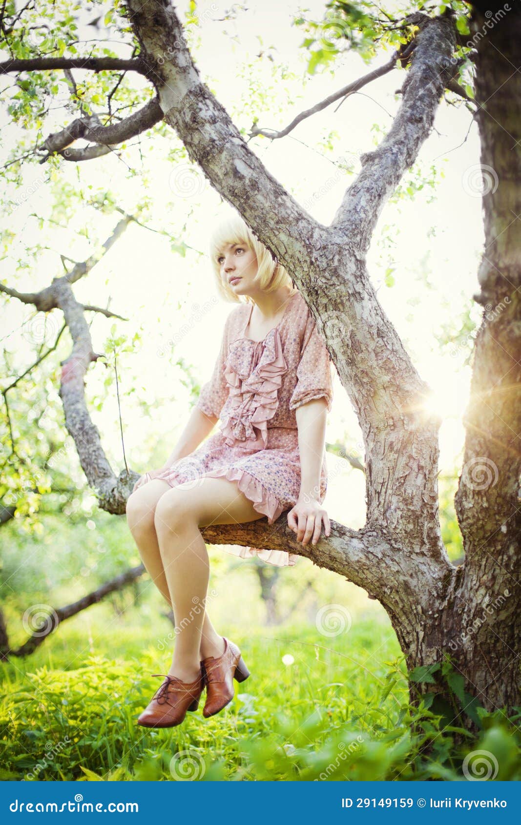 Young Girl Sitting On The Tree Stock Image Image Of Fashion Adult