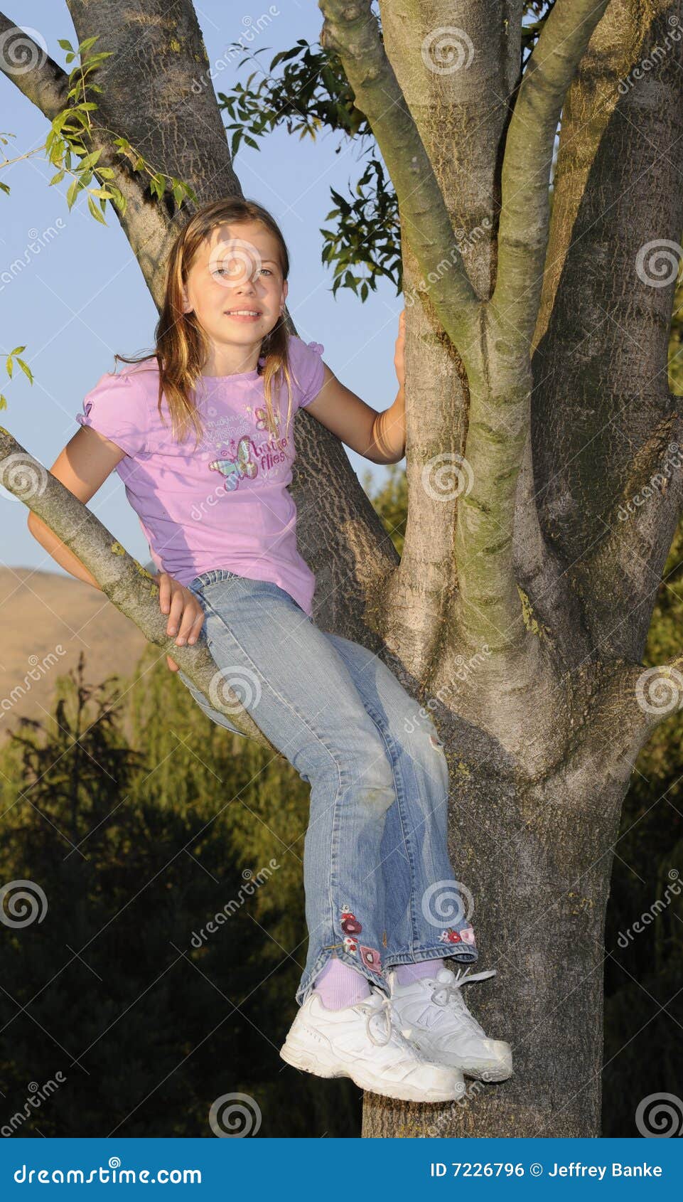 Young Girl Sitting in a Tree Stock Photo - Image of adorable, blue: 7226796