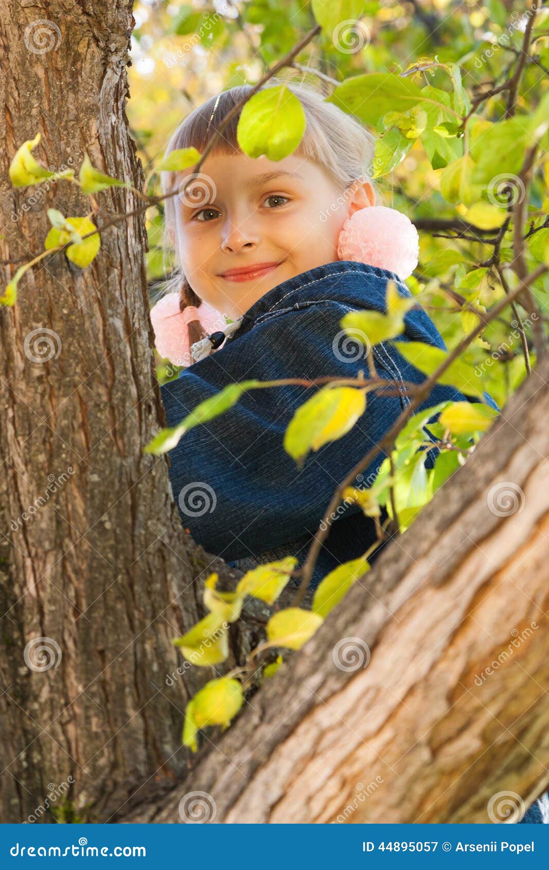 Young Girl Sitting in a Tree Stock Image - Image of freedom, challenge ...