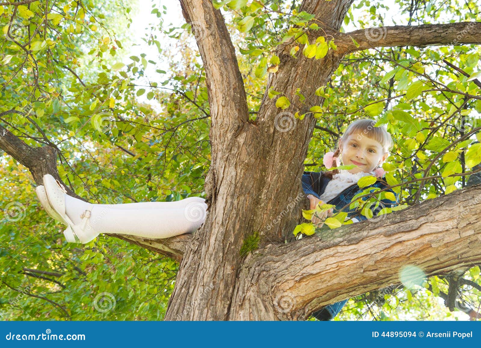Young Girl Sitting in a Tree Stock Photo - Image of outdoors, height ...