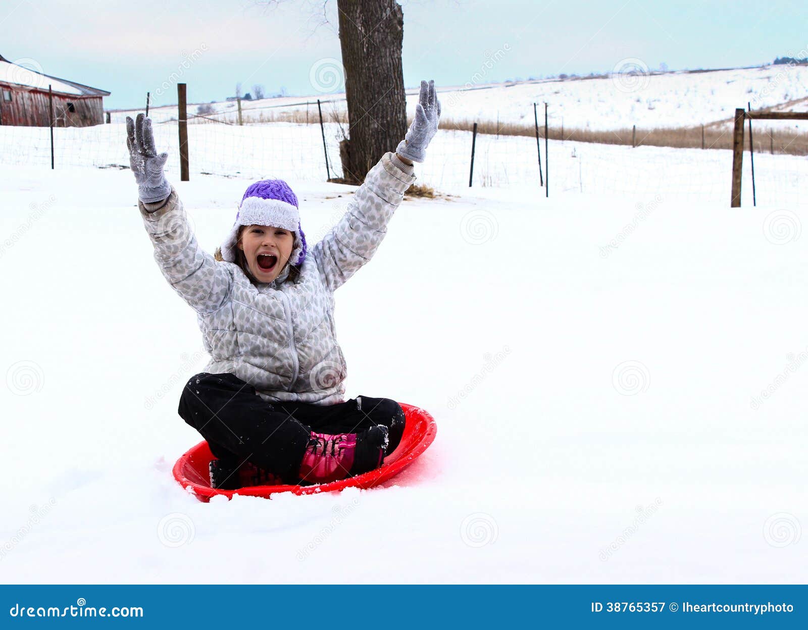 Young Girl Sledding stock image. Image of young, sledding - 38765357