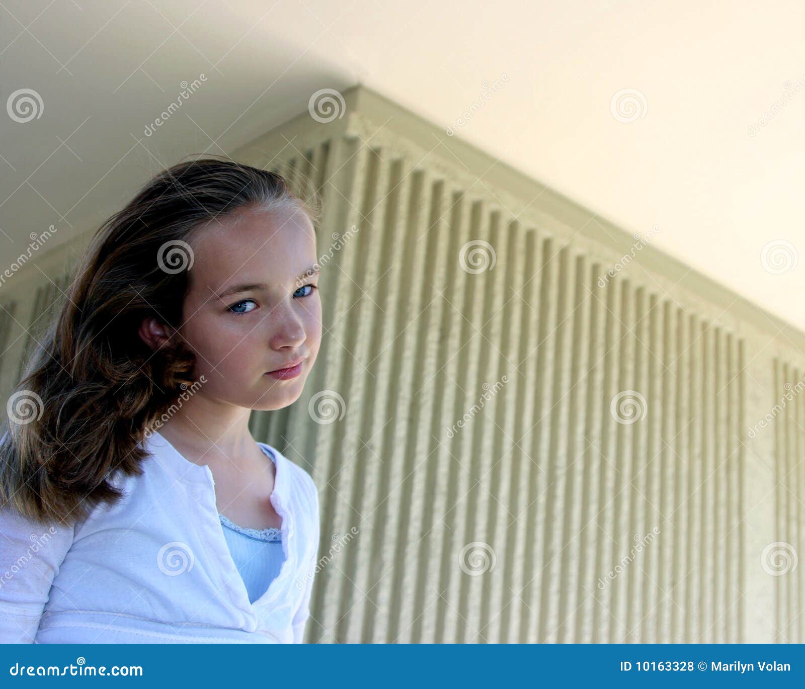 Young girl smiles softly stock photo. Image of copy, attractive - 10163328