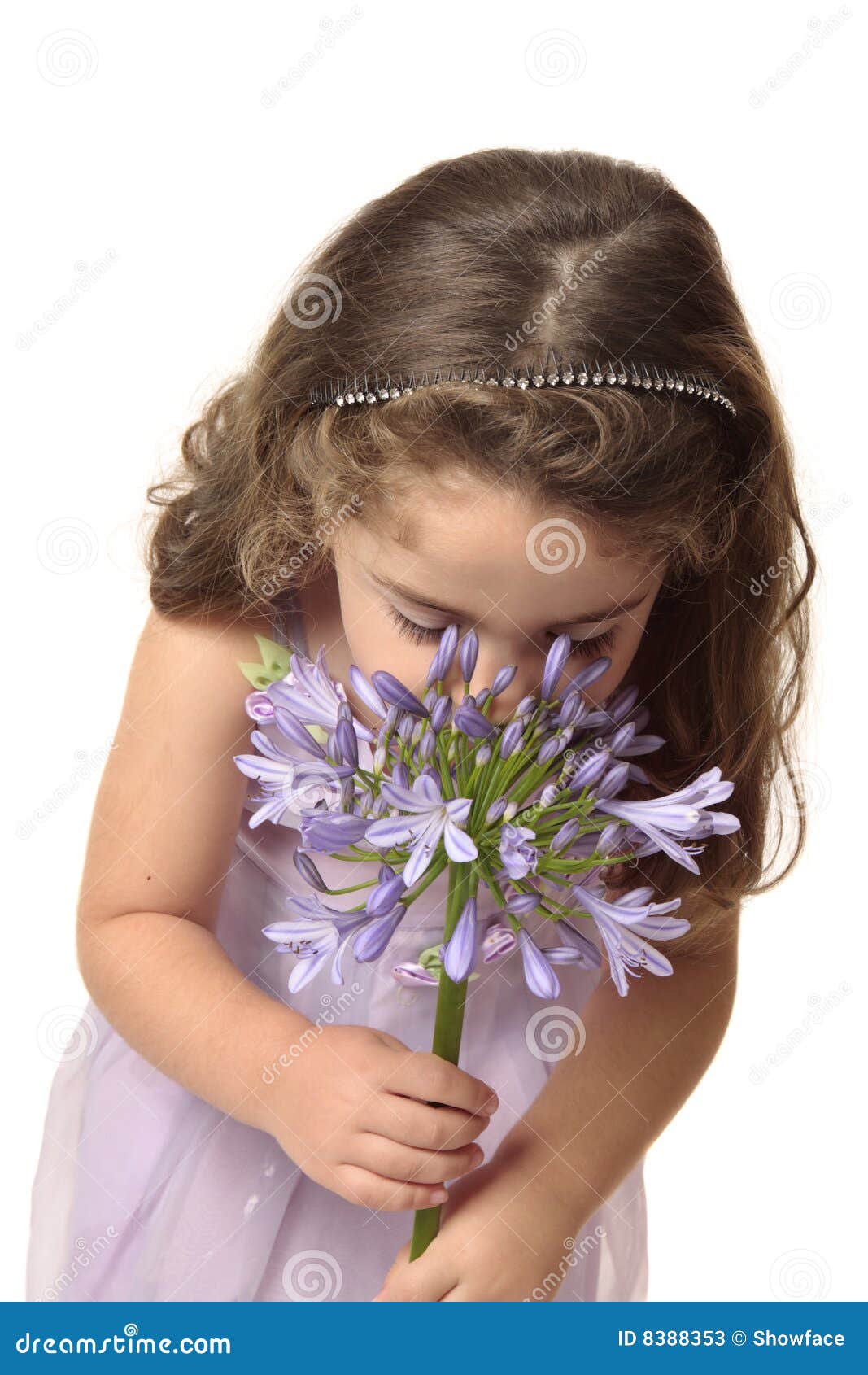 Flower (anthos, Flos) Royalty-Free Stock Photo | CartoonDealer.com ...