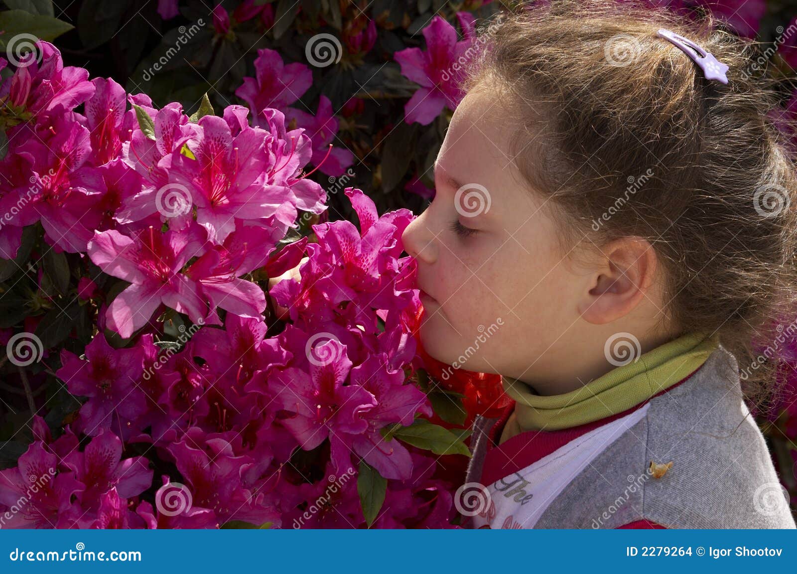 Young Girl and Spring Flower Stock Photo - Image of head, blossom: 2279264