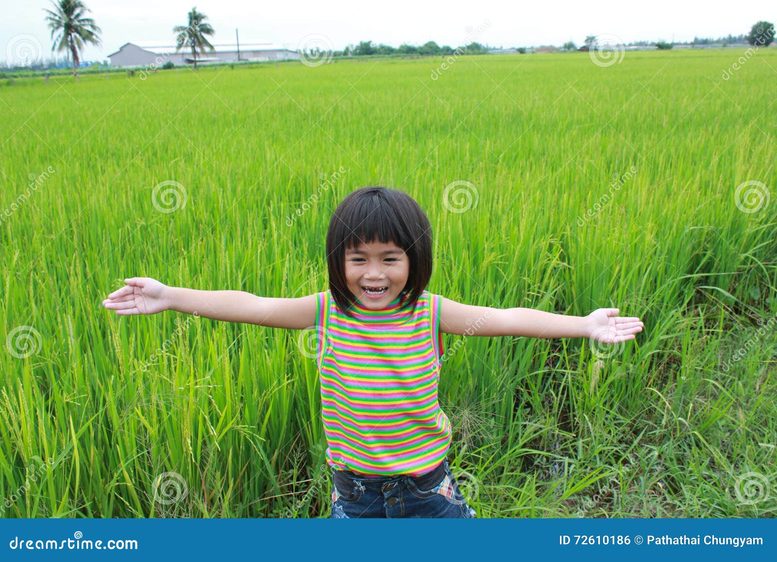 Young Girl Standing in the Rice Field. Stock Photo - Image of people ...