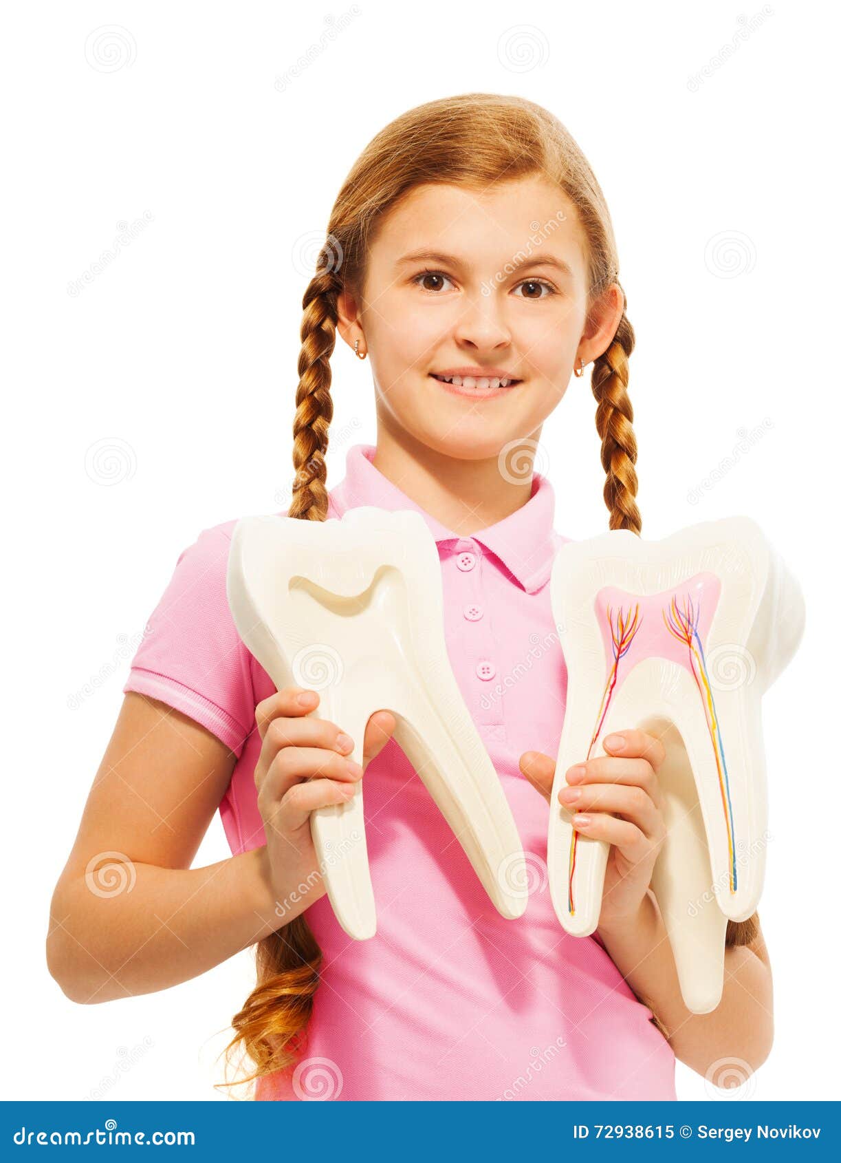 Young Girl Studying Structure of the Tooth Stock Image - Image of care ...