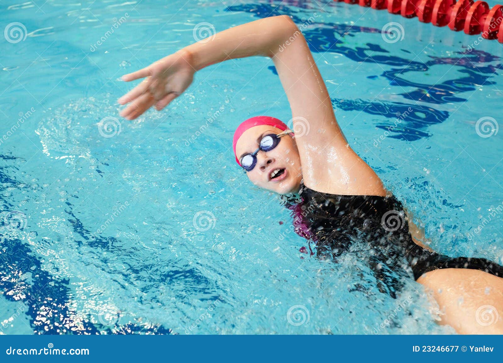 Young girl swims freestyle stock image. Image of active - 23246677