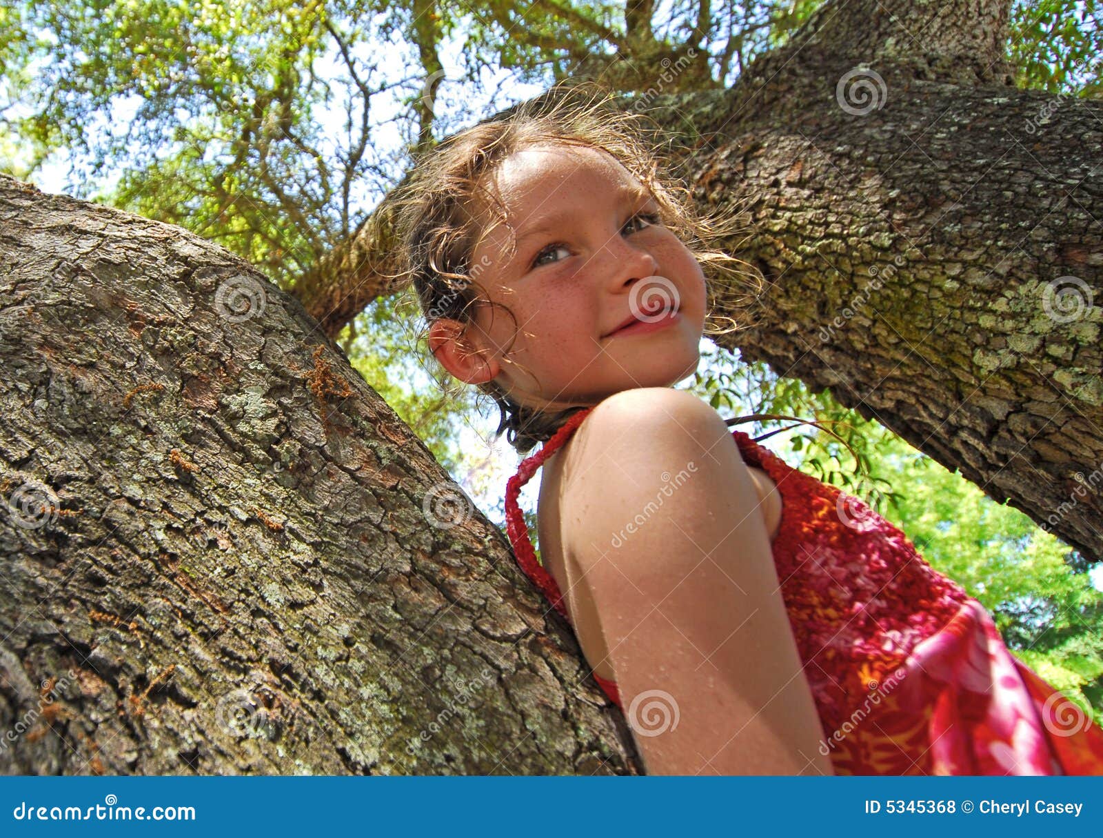 Young Girl Up in Tree stock photo. Image of girl, weekend - 5345368
